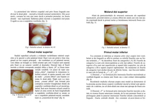 Postolachi_Restaurarea_suprafetelor_2012_ro-en.pdf