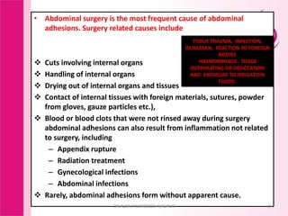 Postoperative adhesions by dr alka mukherjee nagpur m.s. | PPTX