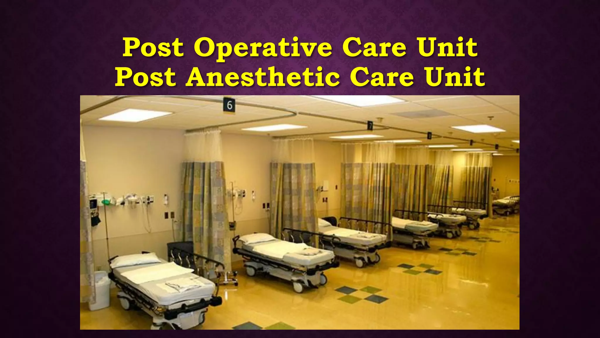 Post operative management | PDF