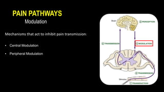 Postoperative pain management for Nurses | PPTX