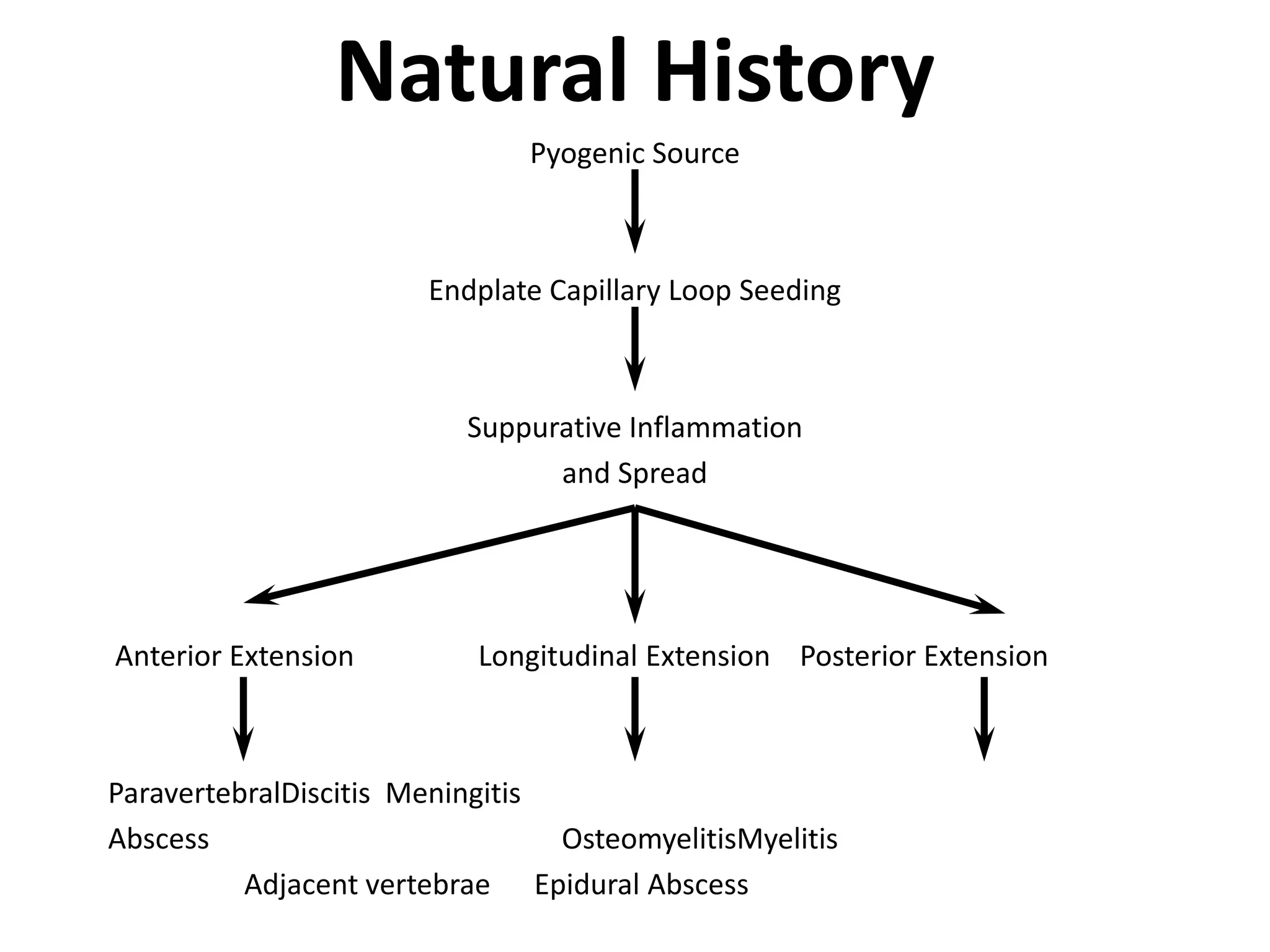 Postoperative Spinal Infection | PPTX
