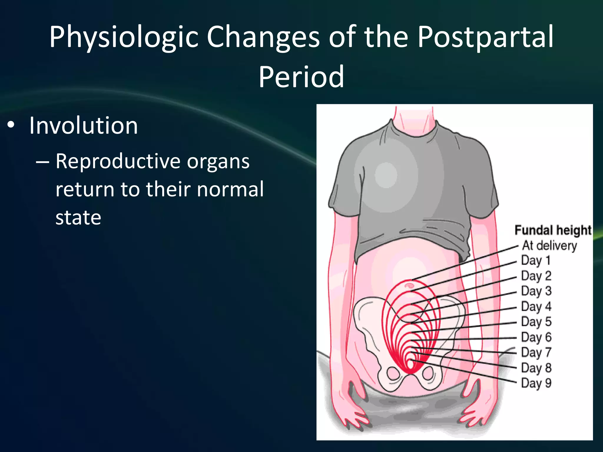Postpartum | PDF