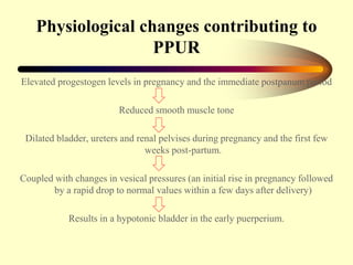 Postpartum bladder dysfunction& urinary retention | PPTX