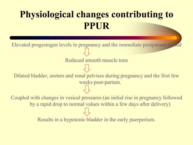 Postpartum bladder dysfunction& urinary retention | PPTX | Pregnancy ...