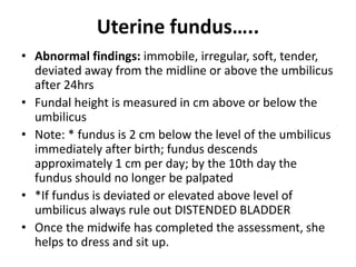 Postpartum examination | PPT