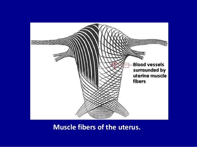 Postpartum haemorrahge final