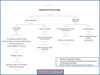 Postpartum Haemorrhage | PPTX