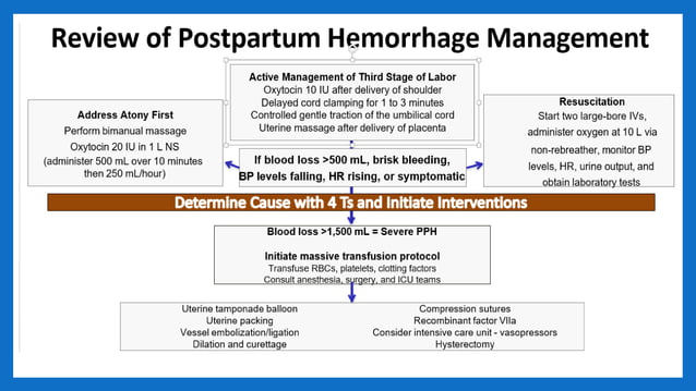 PPH Bundle.pptx | Pregnancy | Reproductive Health
