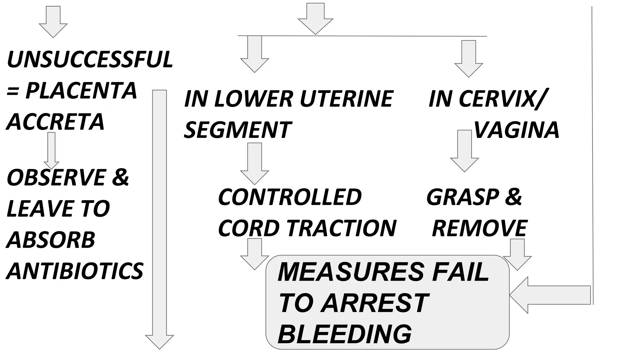 Postpartum Hemorrhage.pptx