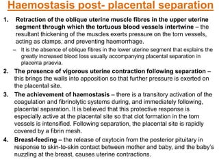 Post Partum Hemorrhage (PPH).ppt