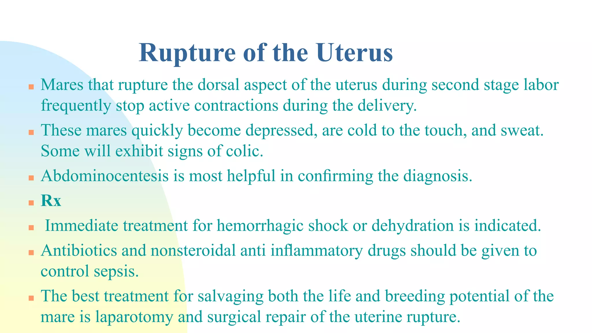 Postpartum management of mare | PPTX