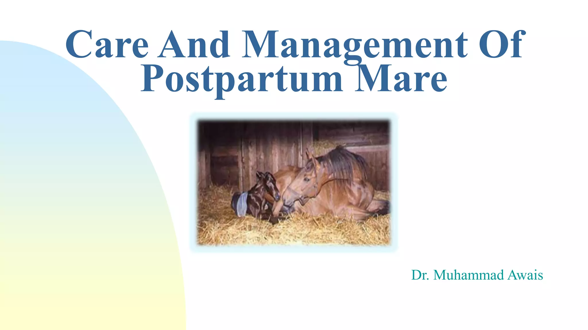 Postpartum management of mare | PPTX