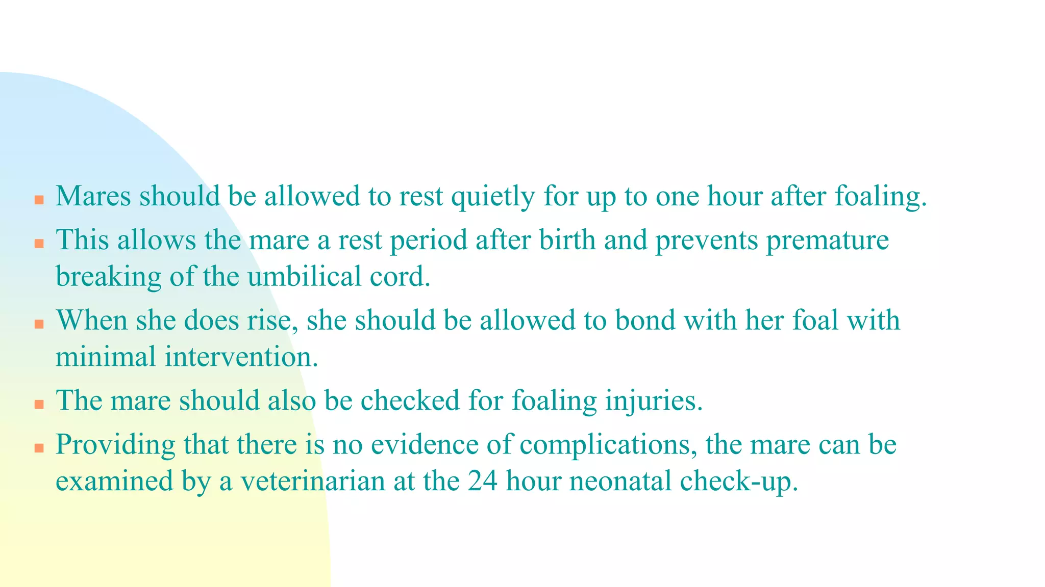 Postpartum management of mare | PPTX