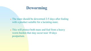 Postpartum management of mare | PPTX