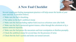 Postpartum management of mare | PPTX