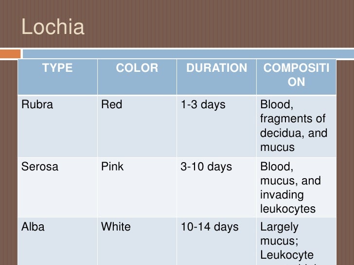 Postpartum slides finals for the students