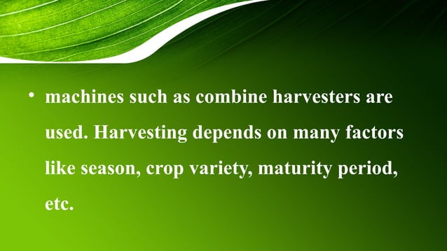 post -planting operations and harvesting | PPT