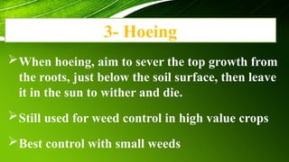 post -planting operations and harvesting | PPT