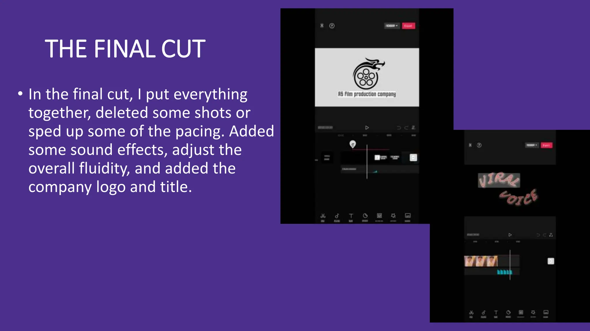 (VIRAL VOICE) - POST PRODUCTION PROCESS | PPT