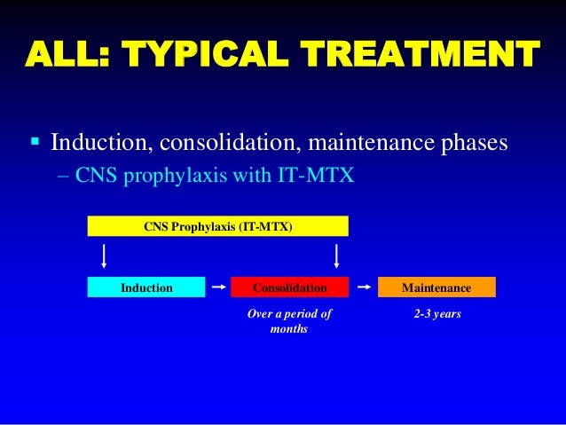 Post remission therapy in all symposium
