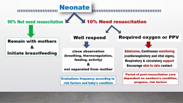 Post resuscitation care in NRP | PPTX | First Aid | Injuries