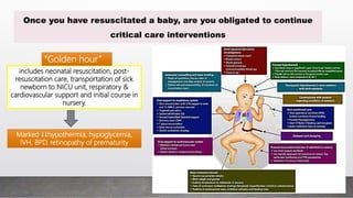 Post resuscitation care in NRP | PPTX