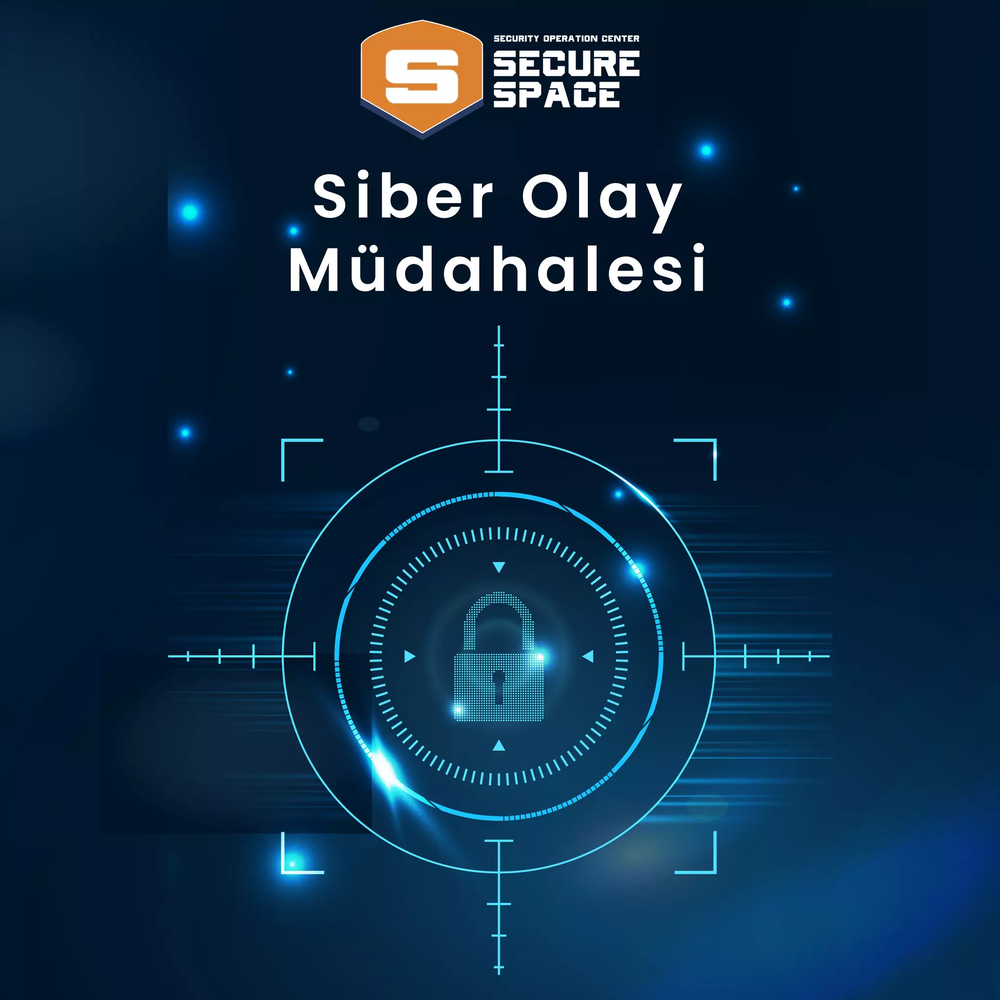 SecureSpace | PDF