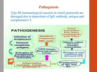 Post streptococcal glomerulo nephritis | PPTX
