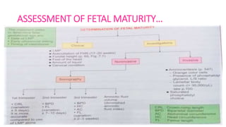 Postterm pregnancy | PPTX