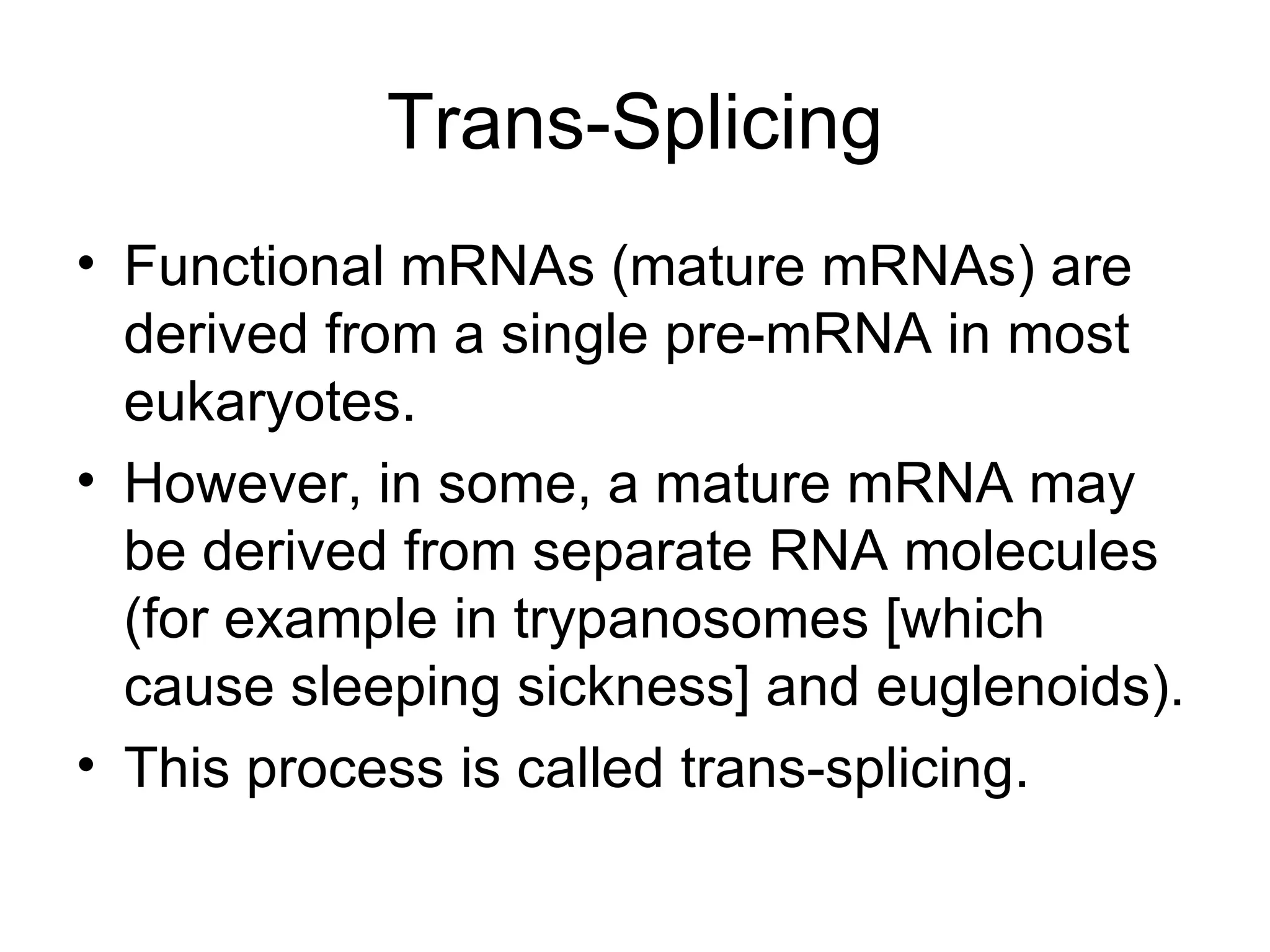Post-Transcriptional Modification | PPT