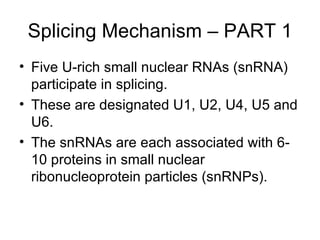 Post-Transcriptional Modification | PPT