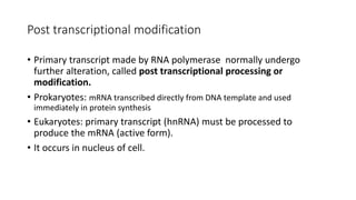 Post transcriptional modification | PPTX