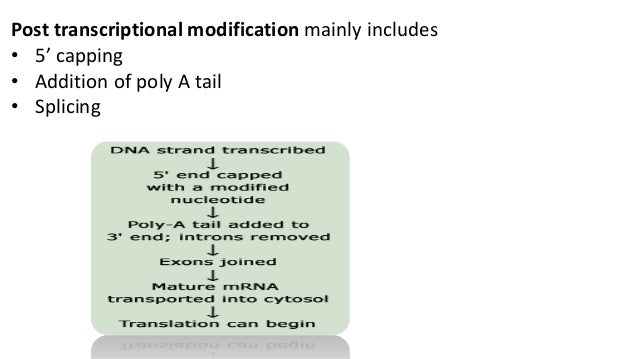 Post transcriptional modification