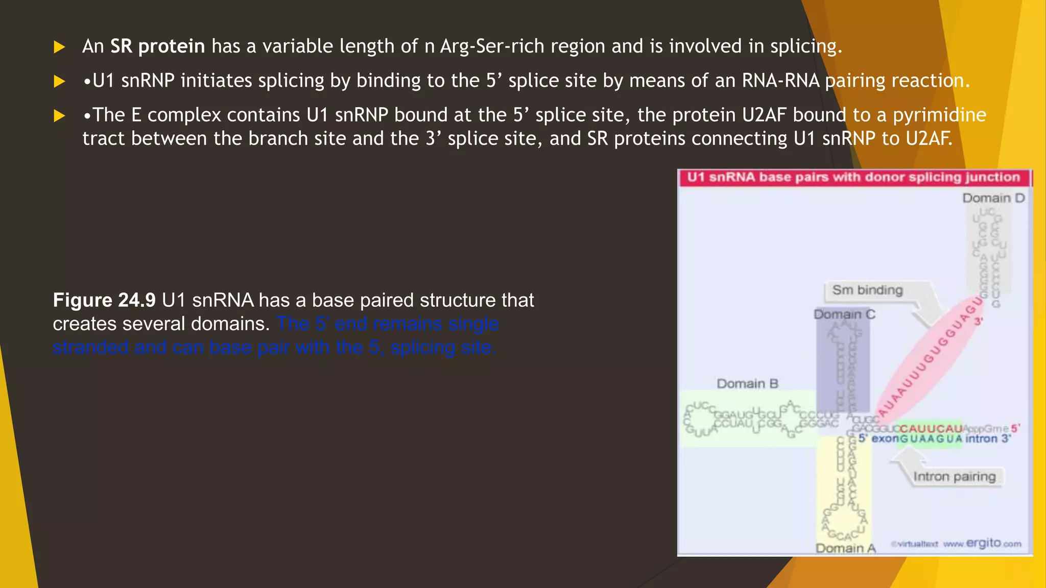 Post transcriptional modification | PPTX