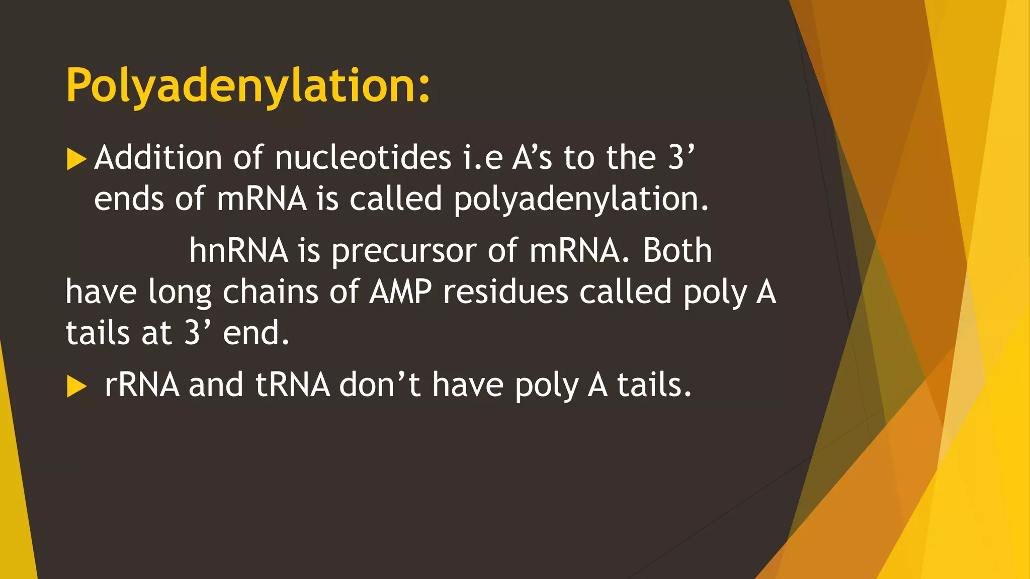 Post transcriptional modification | PPTX