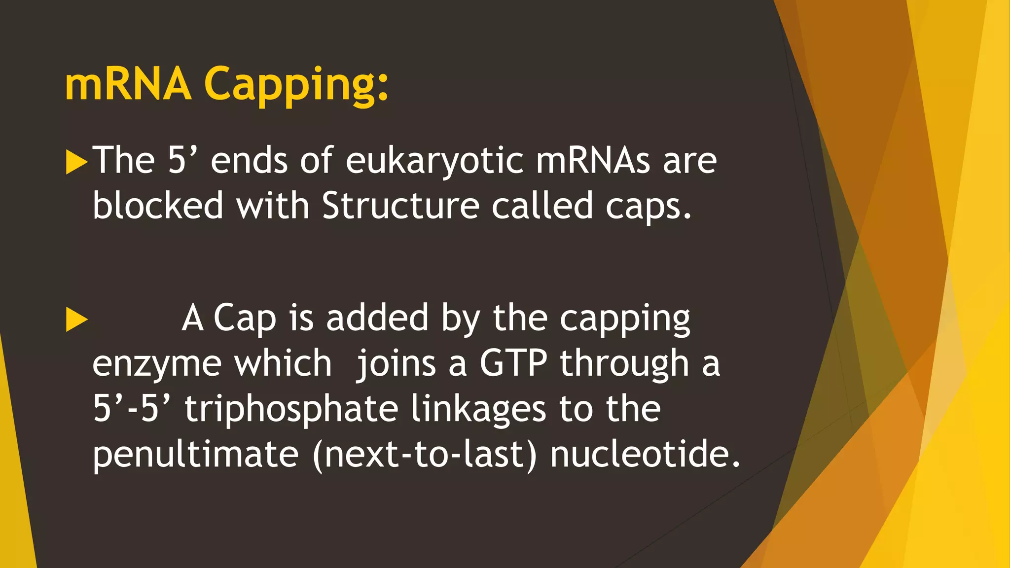 Post transcriptional modification | PPTX
