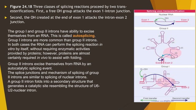 Post transcriptional modification | PPTX