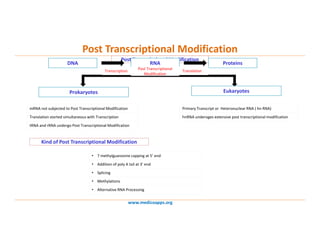 Post transcriptional modification | PDF