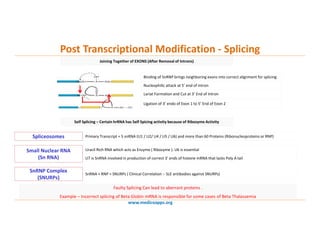 Post transcriptional modification | PDF