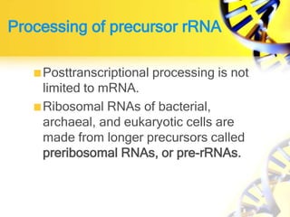 Post transcriptional modifications | PPTX