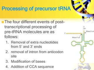 Post transcriptional modifications | PPTX