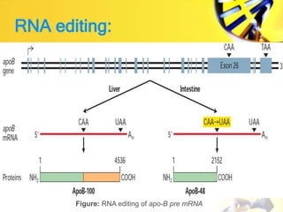 Post transcriptional modifications | PPTX