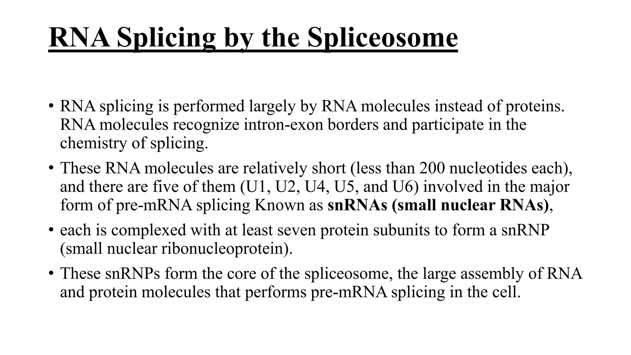 Post Transcriptional Modifications Pptx Programming Languages
