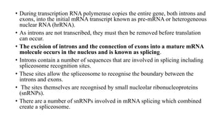 Post transcriptional modifications | PPTX