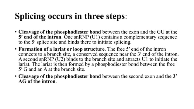Post transcriptional modifications | PPTX | Programming Languages ...