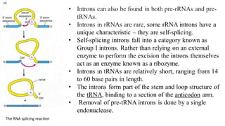 Post transcriptional modifications | PPTX