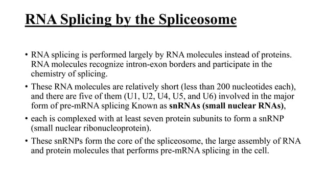 Post Transcriptional Modifications Pptx Programming Languages Computing