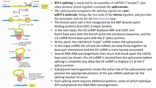 Post transcriptional modifications | PPTX