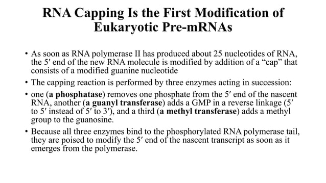 Post transcriptional modifications | PPTX | Programming Languages ...