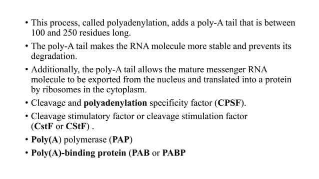 Post transcriptional modifications | PPTX | Programming Languages ...